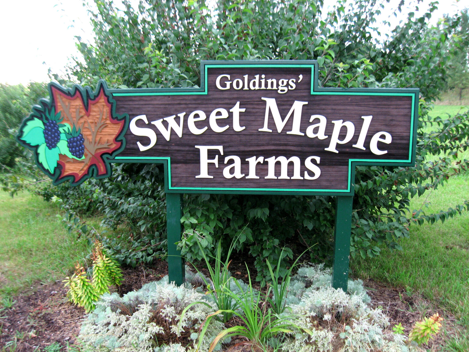 About Us: A Brief History of Sweet Maple Farms – Goldings' Sweet Maple ...